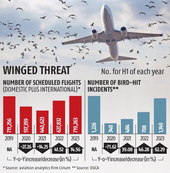 Aircraft bird hit incidents increase by 62% in H1 of 2023, says DGCA ...