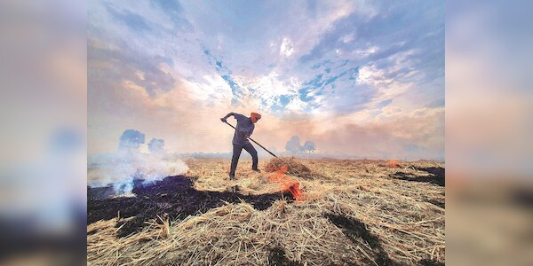 Punjab govt to procure over 11,000 CRM machines to check stubble ...