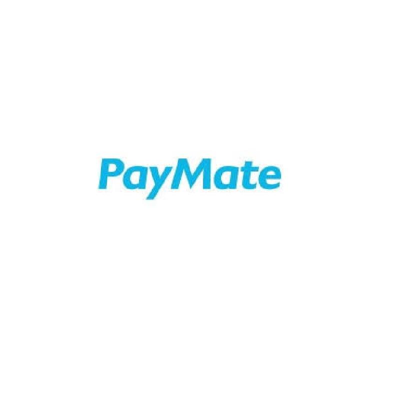 PayMate India achieves TPV of Rs 84,519 cr, 8 fold increase in FY23 ...