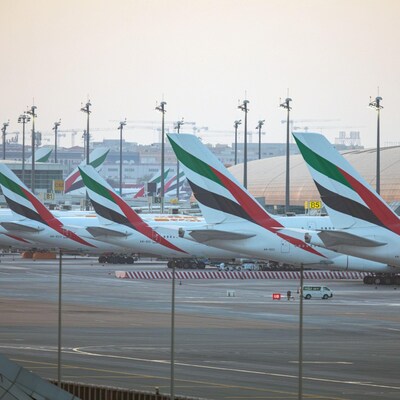 Emirates flight strikes flock of flamingos in Mumbai, raises concerns ...