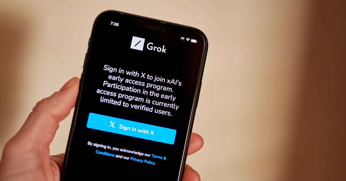 Govt to check Grok's responses for possible violations of India laws ...