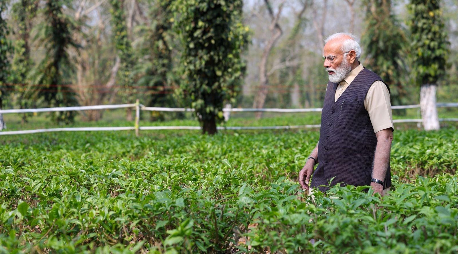 PM Modi spends time at tea estate in Assam, promotes tourism around it ...