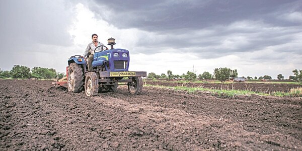Govt to conduct digital crop survey across India using AI to assess ...
