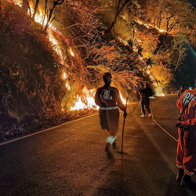 India lost 38,100 hectares of tree cover to forest fires in over 2 ...