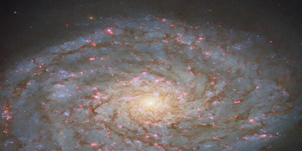 Normal Spiral Galaxy