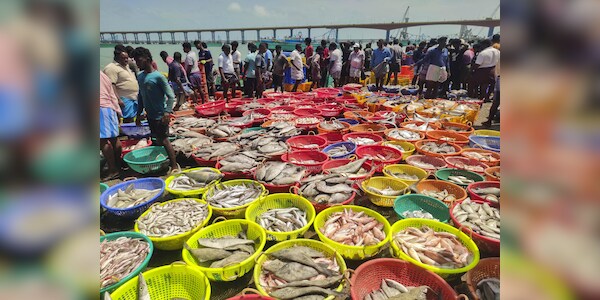 Fisheries and aqua sector see big boost from UK trade deal, Maldives MoU | Economy & Policy News ...