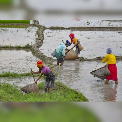 Enabling farmers | Editorial Comment - Business Standard