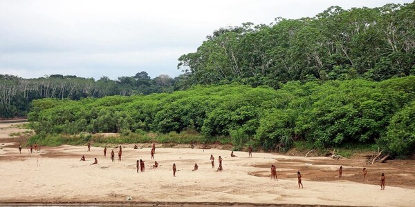 Why did this isolated, uncontacted tribe come out of the Amazon forest ...