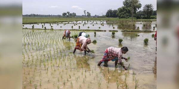 Decoded: What is Agristack system? How will it benefit agriculture ...