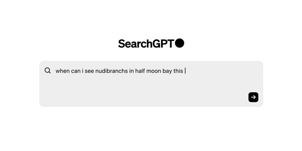 OpenAI introduces SearchGPT: What is it, how it works, availability, more | Tech News - Business ...