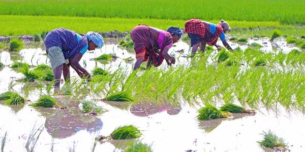 Agri growth: New schemes a timely intervention, should improve outcomes ...