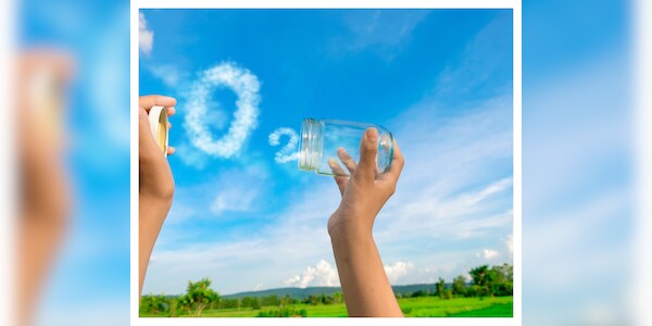 21 Cities Under Ncap Cut Pm10 Pollution By Over 40 Since 2017 18 Cpcb India News Business