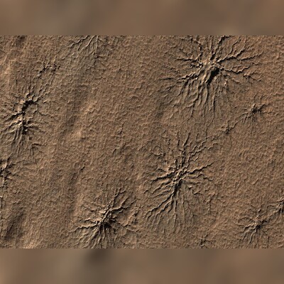 'Spiders on Mars' fully awakened on Earth; scientists at Nasa excited ...