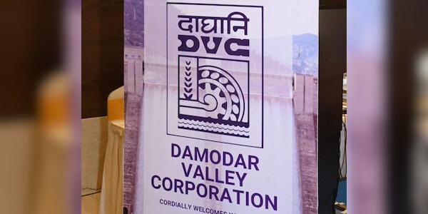 DVC signs 25-year PPA with Haryana to supply 800 MW power from 2028 ...