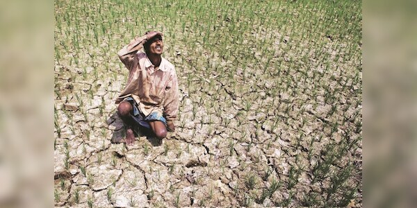 COP29: What are the main issues at the UN climate summit in Baku ...