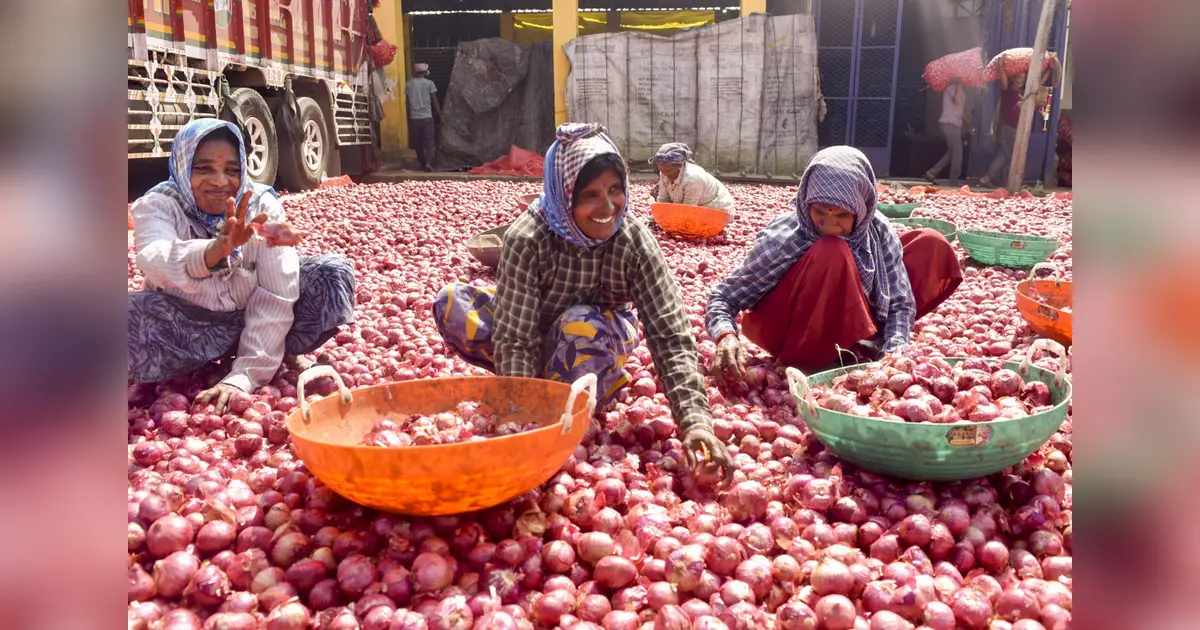 Maha onion farmers seek procurement from APMCs instead of 'corrupt ...