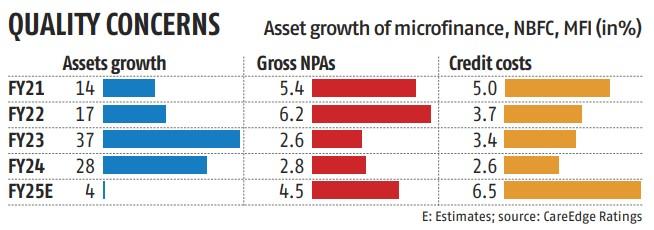 Microfinance growth to nosedive to 4% in FY25, says CareEdge Ratings ...