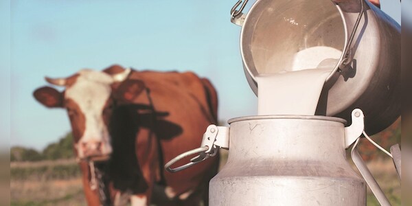 US flags India's dairy import rules at WTO, calls certificate to 'trade ...