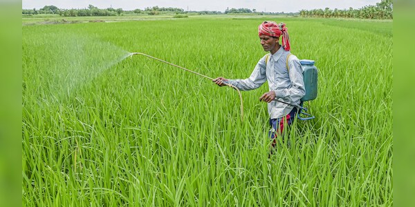 PM Fasal Bima Yojana 2025 Deadline: All about damage compensation and ...