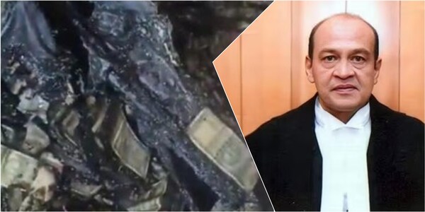 Watch: Supreme Court probe report shows burnt cash at Delhi judge's home | India News - Business ...