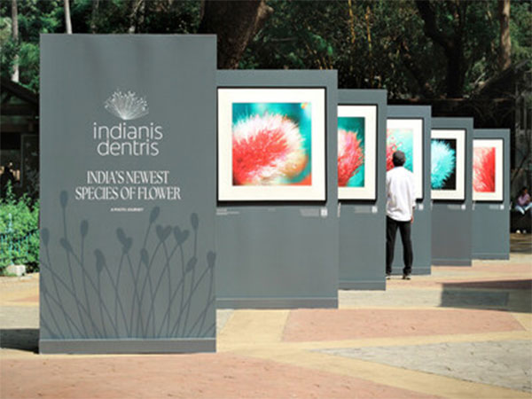 A Blooming Surprise: Colgate India's New Campaign Turns Discovery Into ...