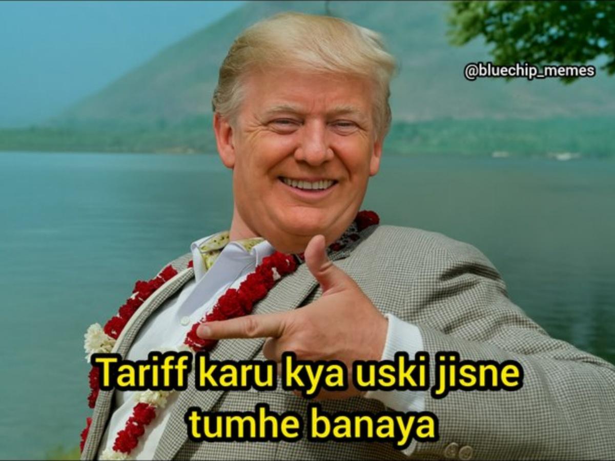 Tariff Memes Penguin Tariff Memes: 21 Hilarious Trump Vs Penguins
