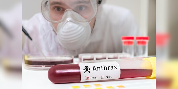 Thailand reports anthrax outbreak after rare death: What you should ...