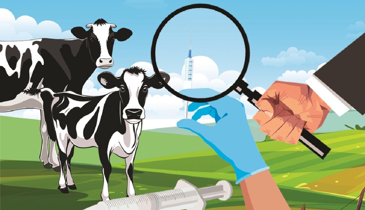 AMR crisis: Centre asks states to monitor antibiotic use in animals ...