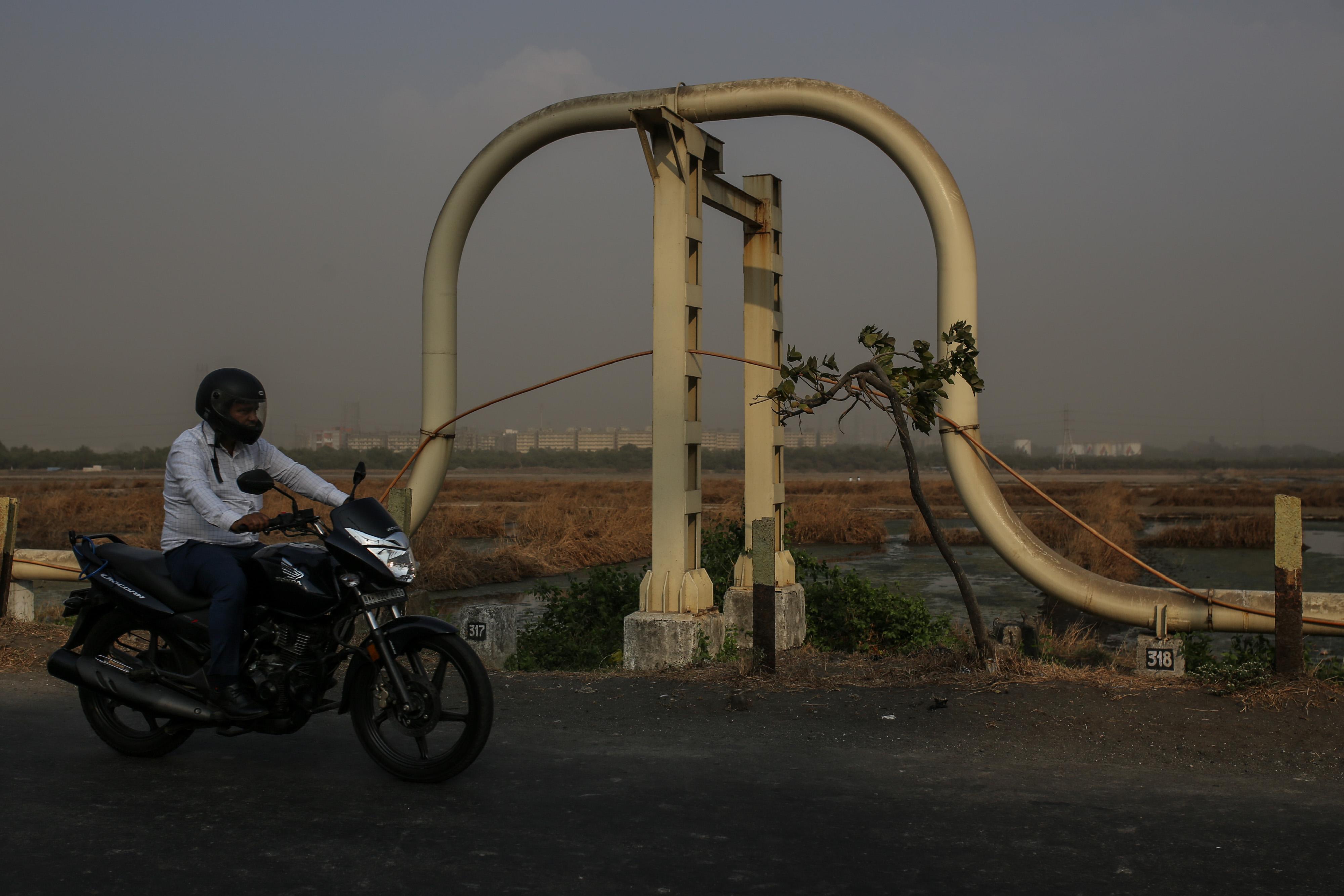 India's strong fundamentals to cushion oil shock, growth may slow up to ...