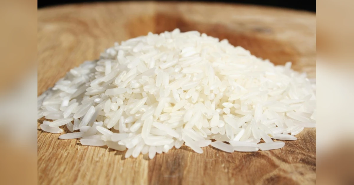 Japanese minister halts visit after Trump demands Japan buy rice from ...