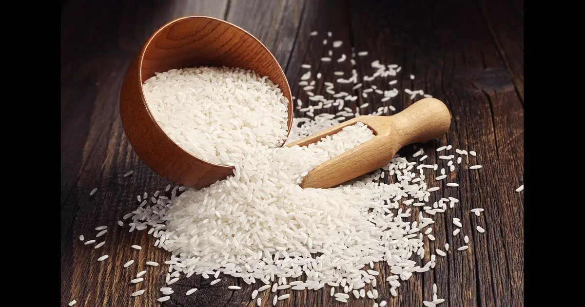 Is your rice toxic? Experts explain arsenic risks and how to stay safe ...