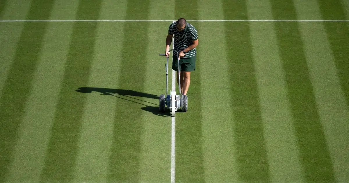 Wimbledon 2025: Electronic line calling system malfunctions during QF ...