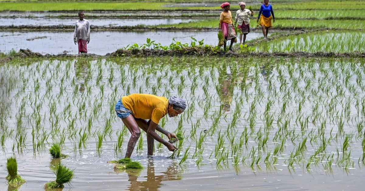 Maharashtra agro corp to set up units to manage farmers' crop surplus | India News - Business ...