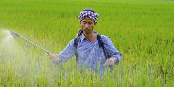 More than 2 million farmers in Assam get ₹422 crore under PM-KISAN ...