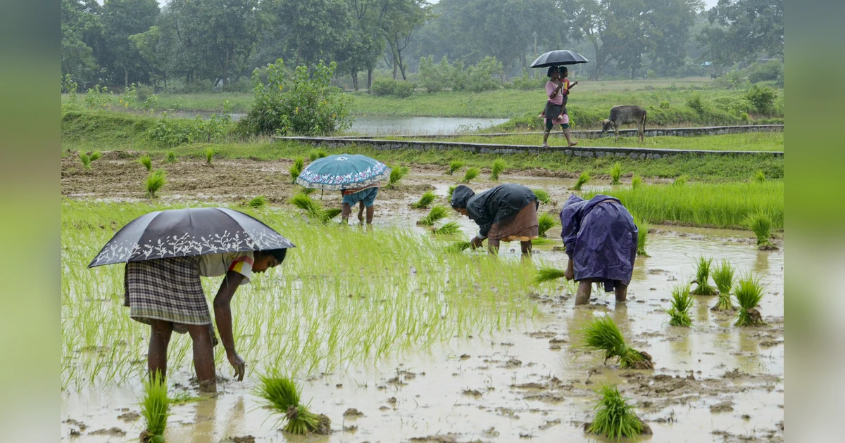 Maharashtra govt sanctions ₹3,258 cr aid for farmers hit by rain ...