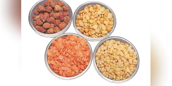 US senators push India for tariff relief as pulses growers lose mkt ...