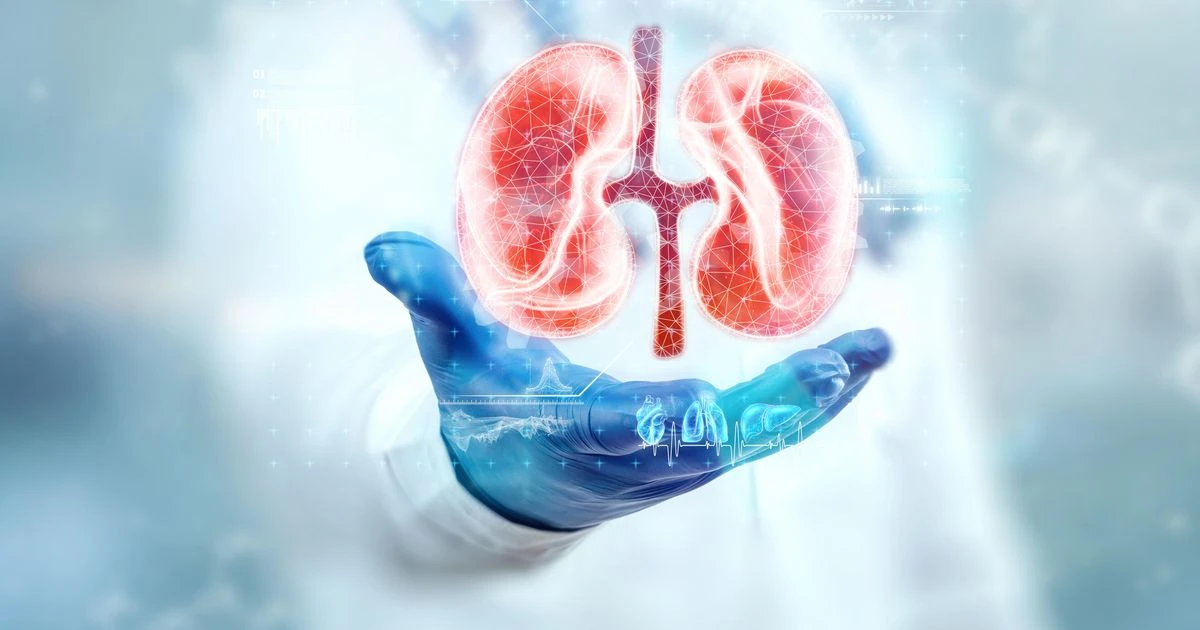These biomarkers may predict organ failure, death in chronic kidney ...