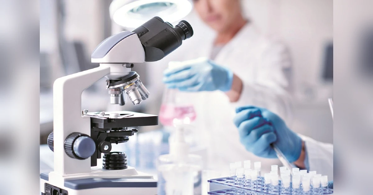 Laurus Labs stock zooms 105% in 1 year, hits new high. Should you buy ...