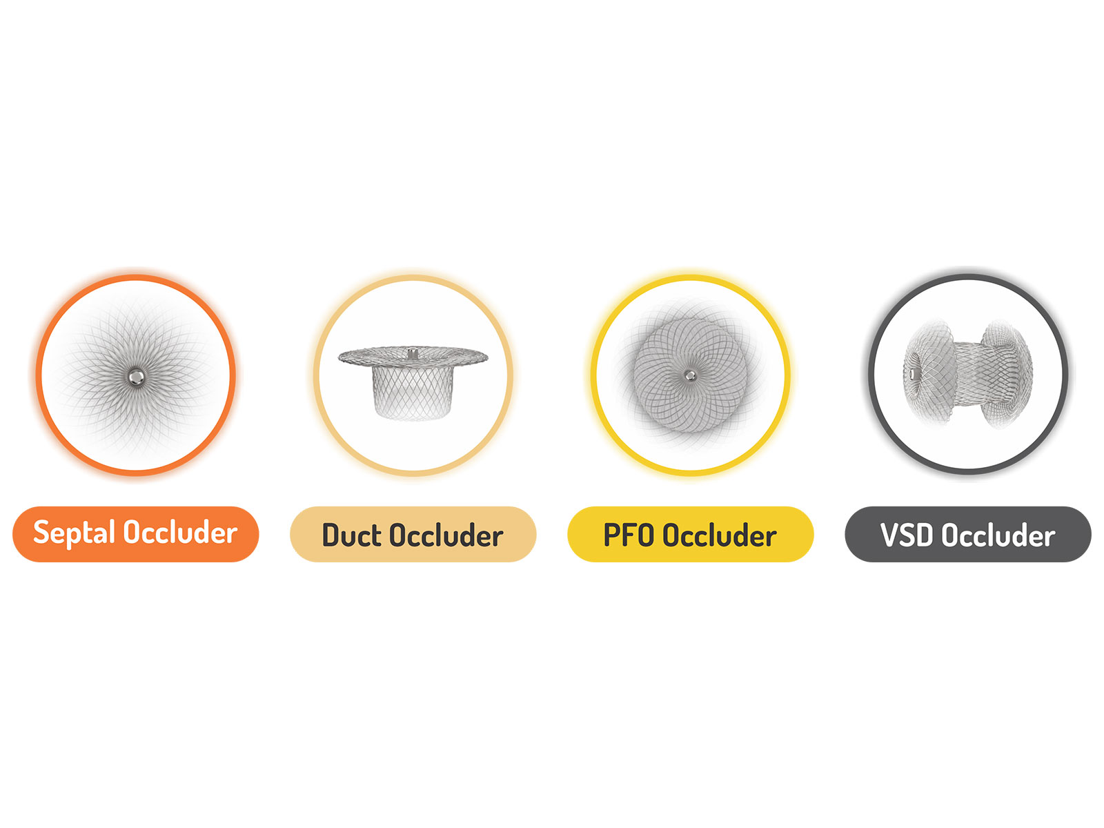 SMT Celebrates 20 Years of the Cocoon Occluder Journey, Transforming ...