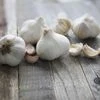 From heart health to drug interactions: Here's how garlic benefits body ...