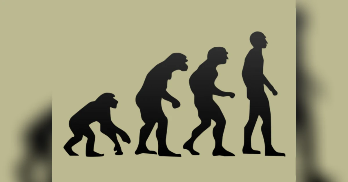 If evolution is real, why don't we see how humans are still evolving ...