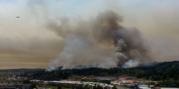18 dead, thousands flee as wildfires destroy several homes across Chile ...