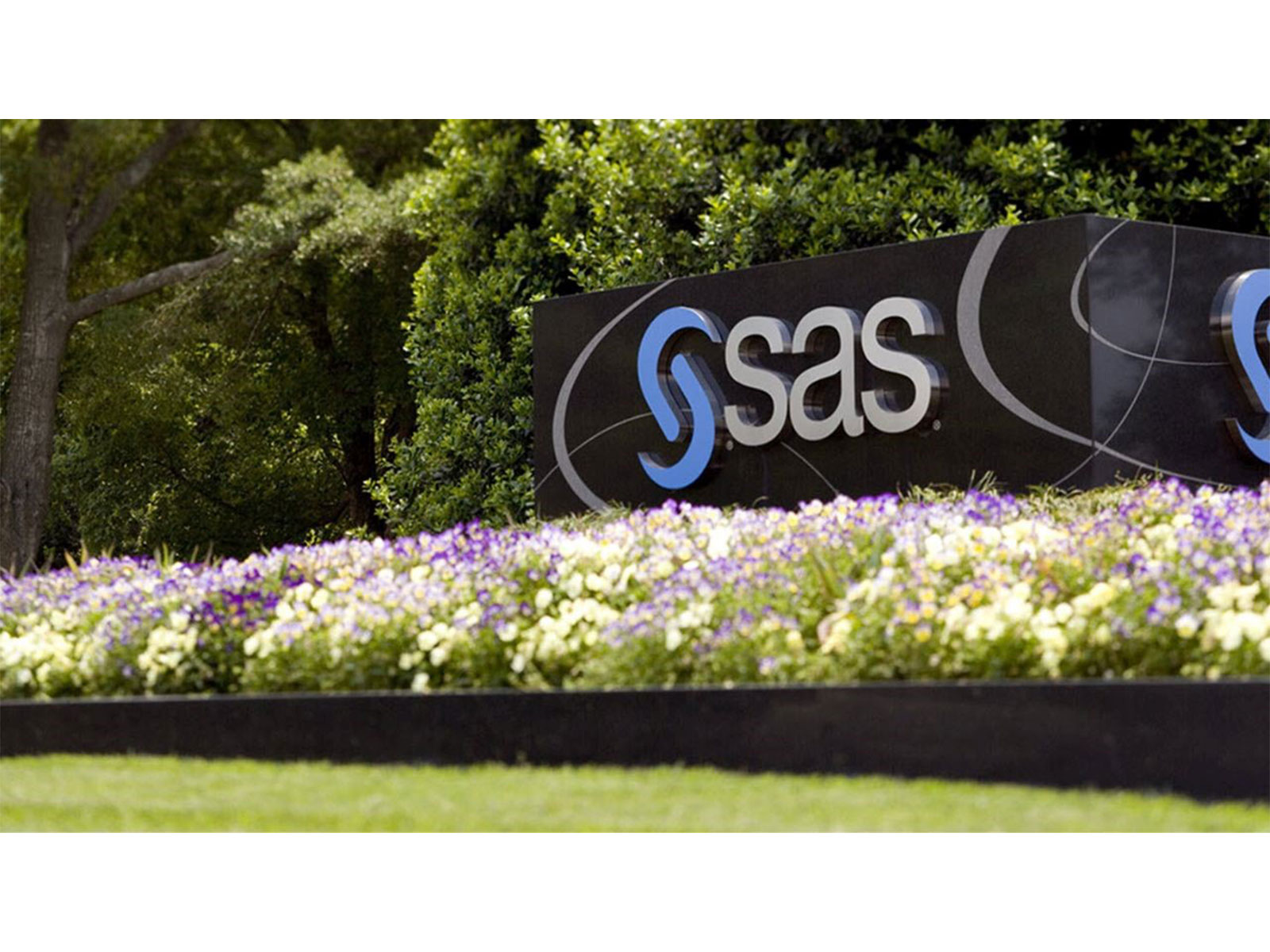 SAS Advanced Analytics and AI to power governance and resolve anomalies ...