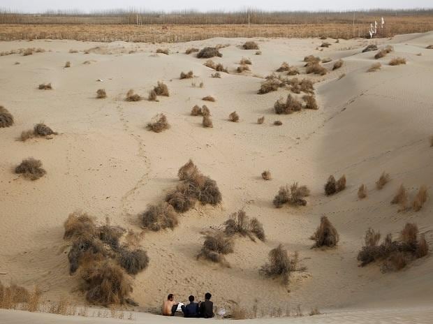 Combating desertification | Business Standard Editorials