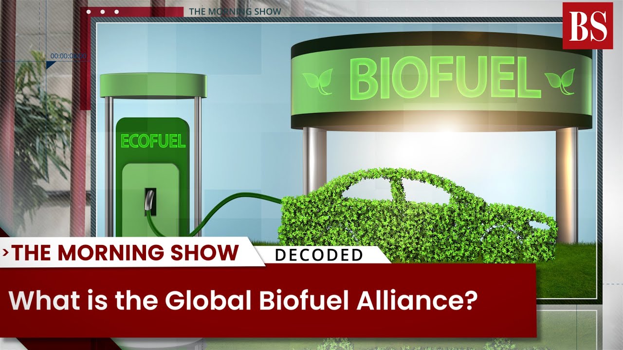 The Morning Show: Watch Today's Stock Market News & Analysis, Daily ...