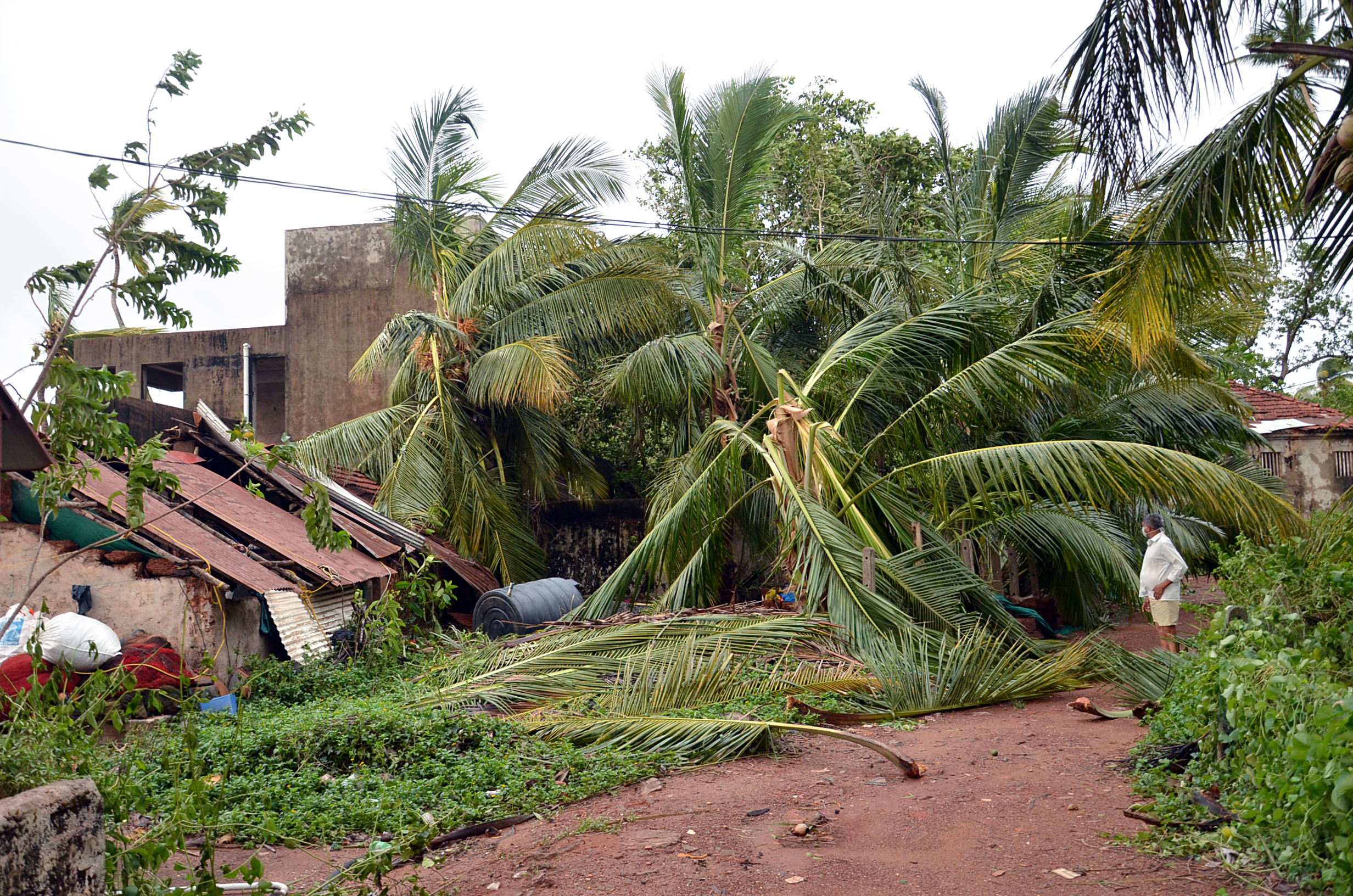 Intra-circle roaming allowed in cyclone-hit districts of Gujarat, Maha ...