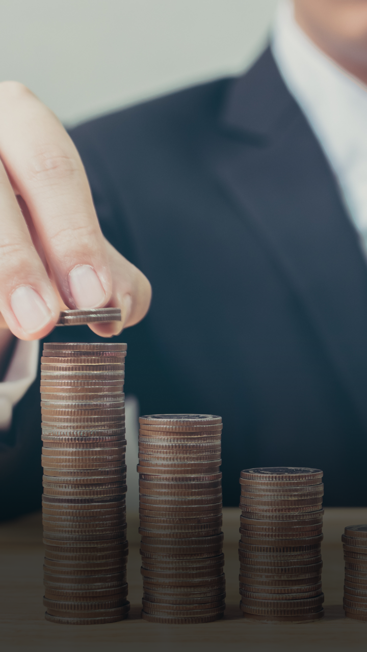 Mutual Fund strategies you can steal from India's best portfolio ...