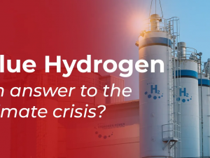 Blue Hydrogen - Answer to the climate change crisis?