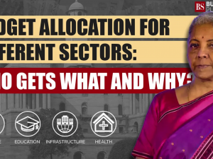 Budget Allocation for Different Sectors: Who Gets What and Why?
