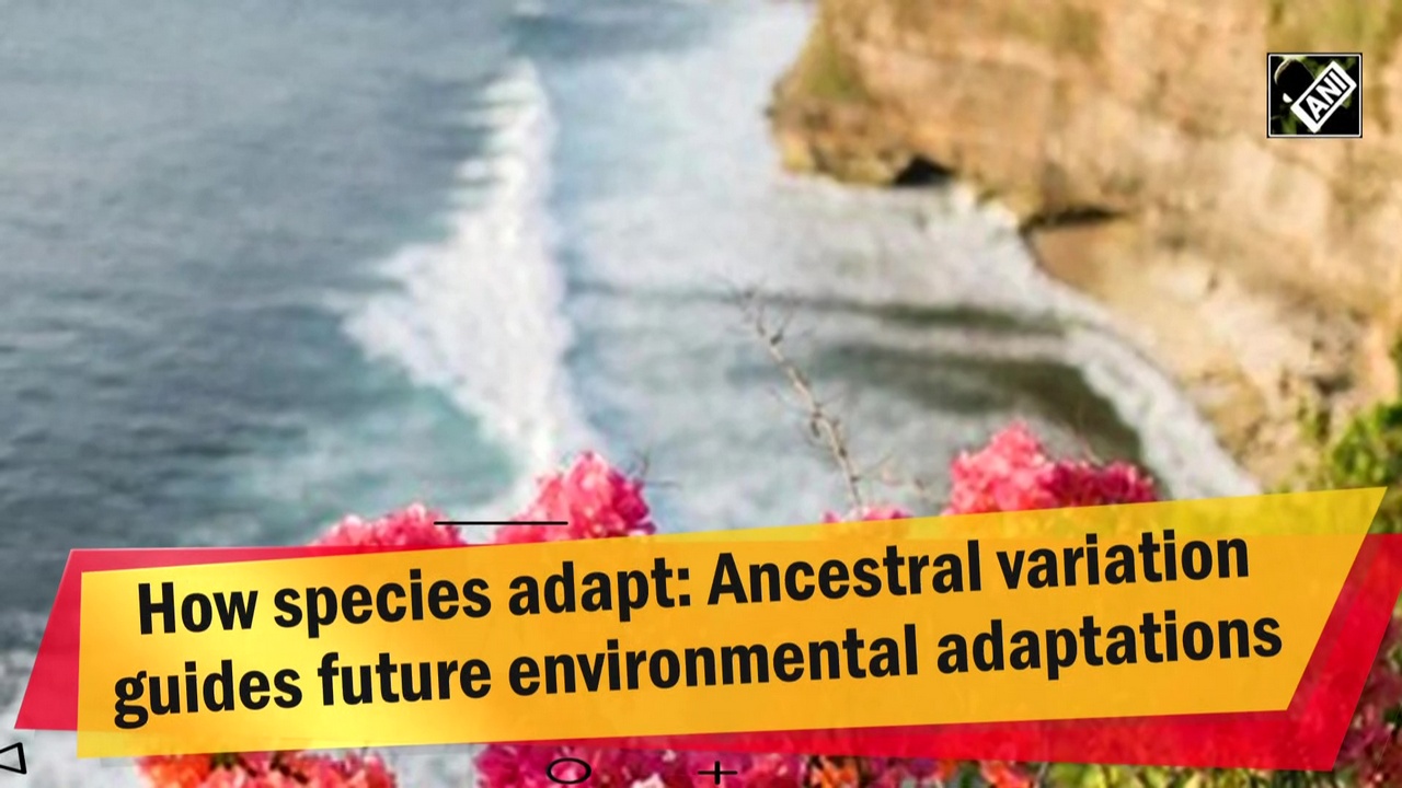 How species adapt: Ancestral variation guides future environmental ...